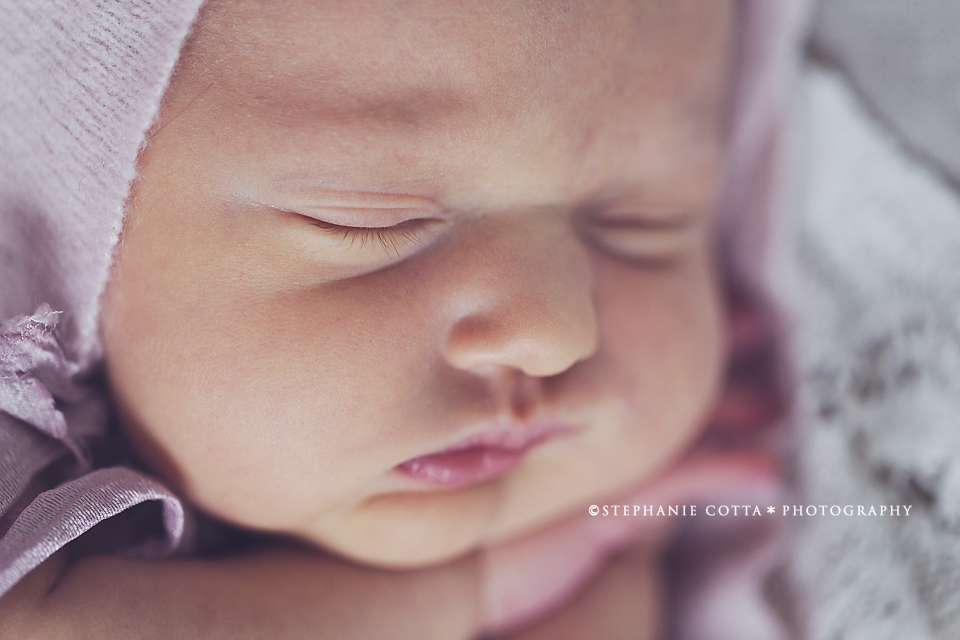 ellie {seven days new} | st. louis newborn photographer. » Stephanie ...