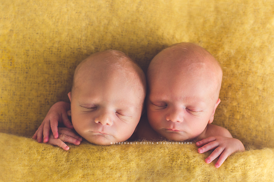 ayden and Landon | st. louis twins newborn photographer. » Stephanie ...