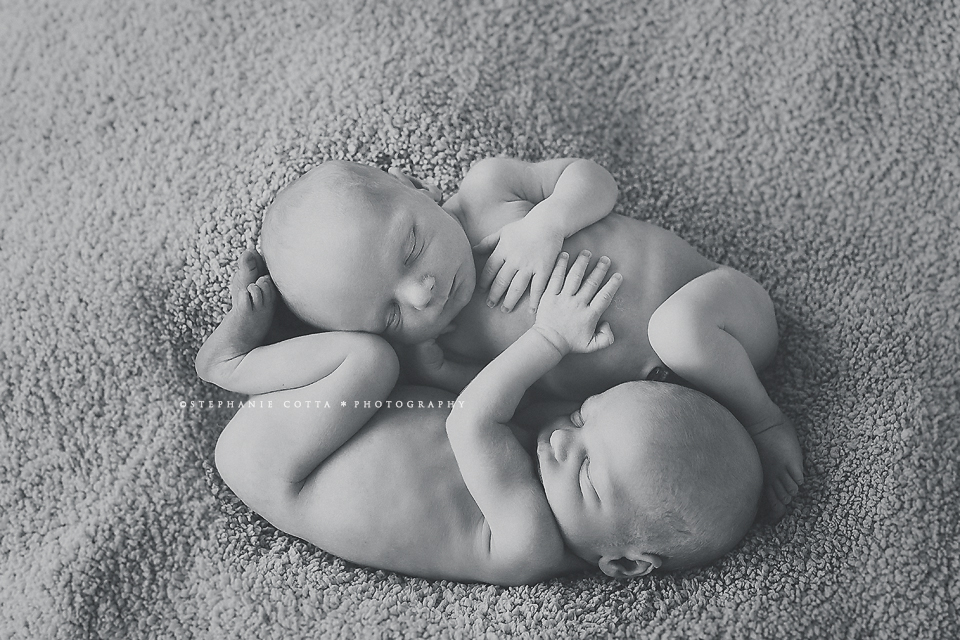 ayden and Landon | st. louis twins newborn photographer. » Stephanie ...