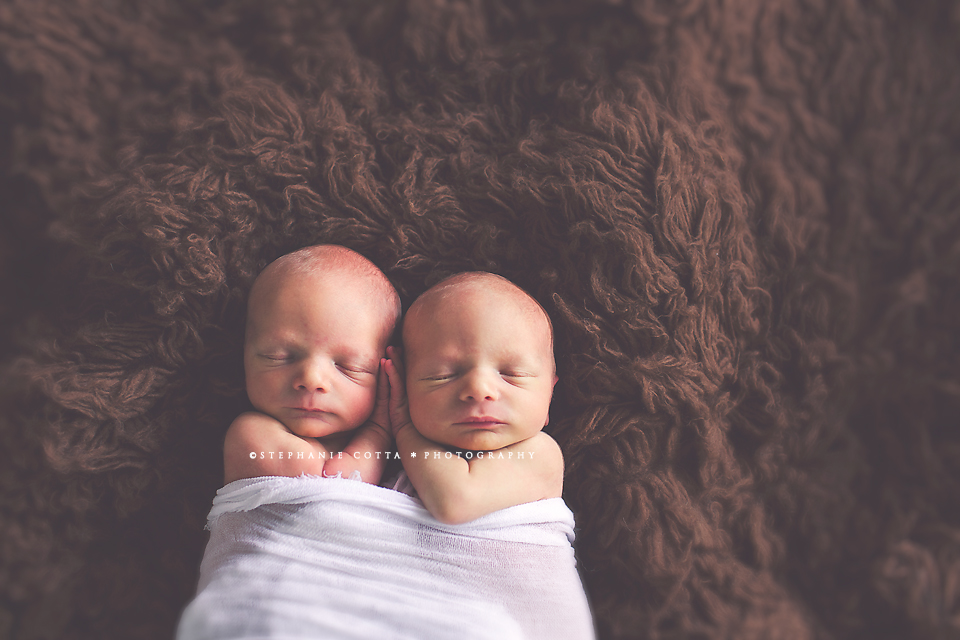 ayden and Landon | st. louis twins newborn photographer. » Stephanie ...