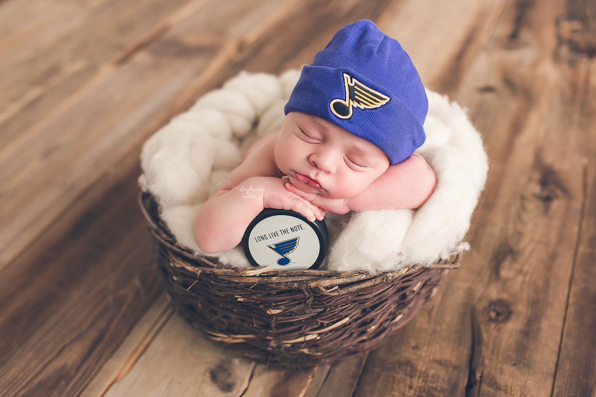 Stephanie Cotta Photography » Stephanie Cotta is an award-winning ...