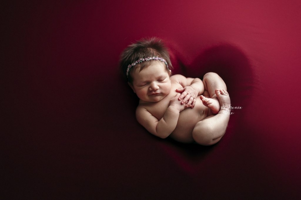 Stephanie Cotta Photography » Stephanie Cotta is an award-winning ...