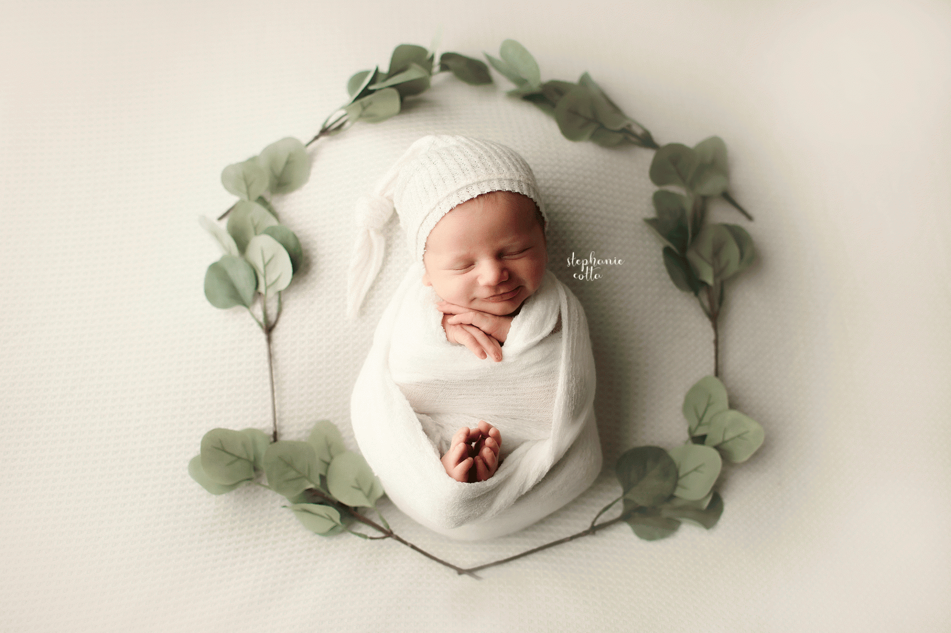 Stephanie Cotta Photography » Stephanie Cotta is an award-winning ...